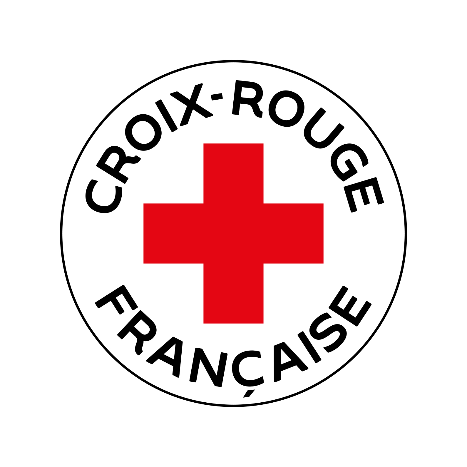 eBrigade: The essential tool for local Red Cross units - Logiciel de ...